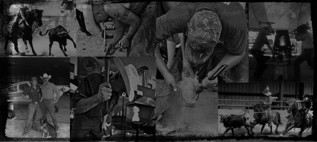 HHS Diaries - Halfway There – Heartland Horseshoeing School